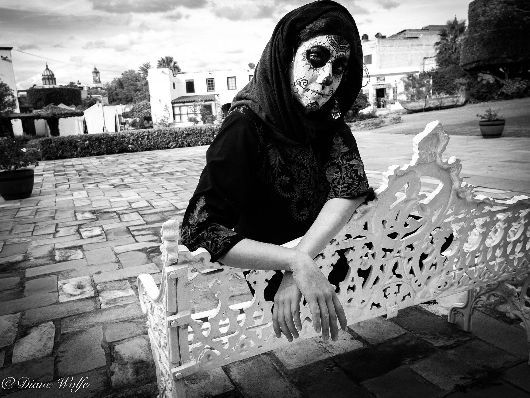 Diane Wolfe’s Gallery | Valencia Palms Photo Club